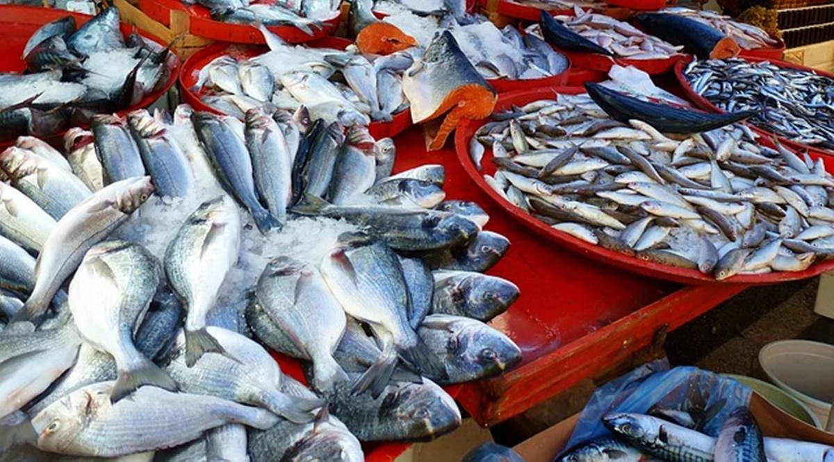 Semana Santa: 5 dicas para escolher peixes no mercado