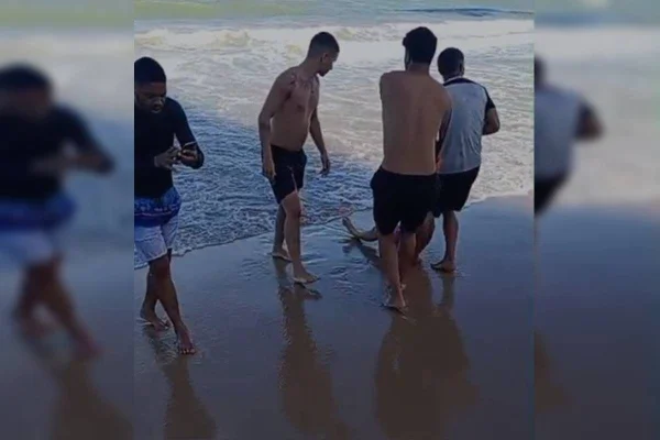 Vídeo mostra socorro de banhista que teve perna arrancada por tubarão