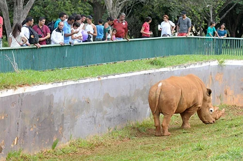 Zoológico do DF ganha linha de ônibus integrada a metrô