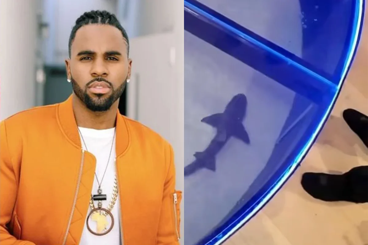 Jason Derulo é criticado por exibir tubarão em aquário no chão de casa